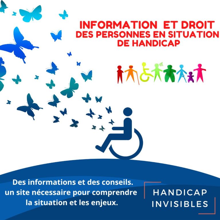portail handi accès pour la france de l'association handicap invisibles.